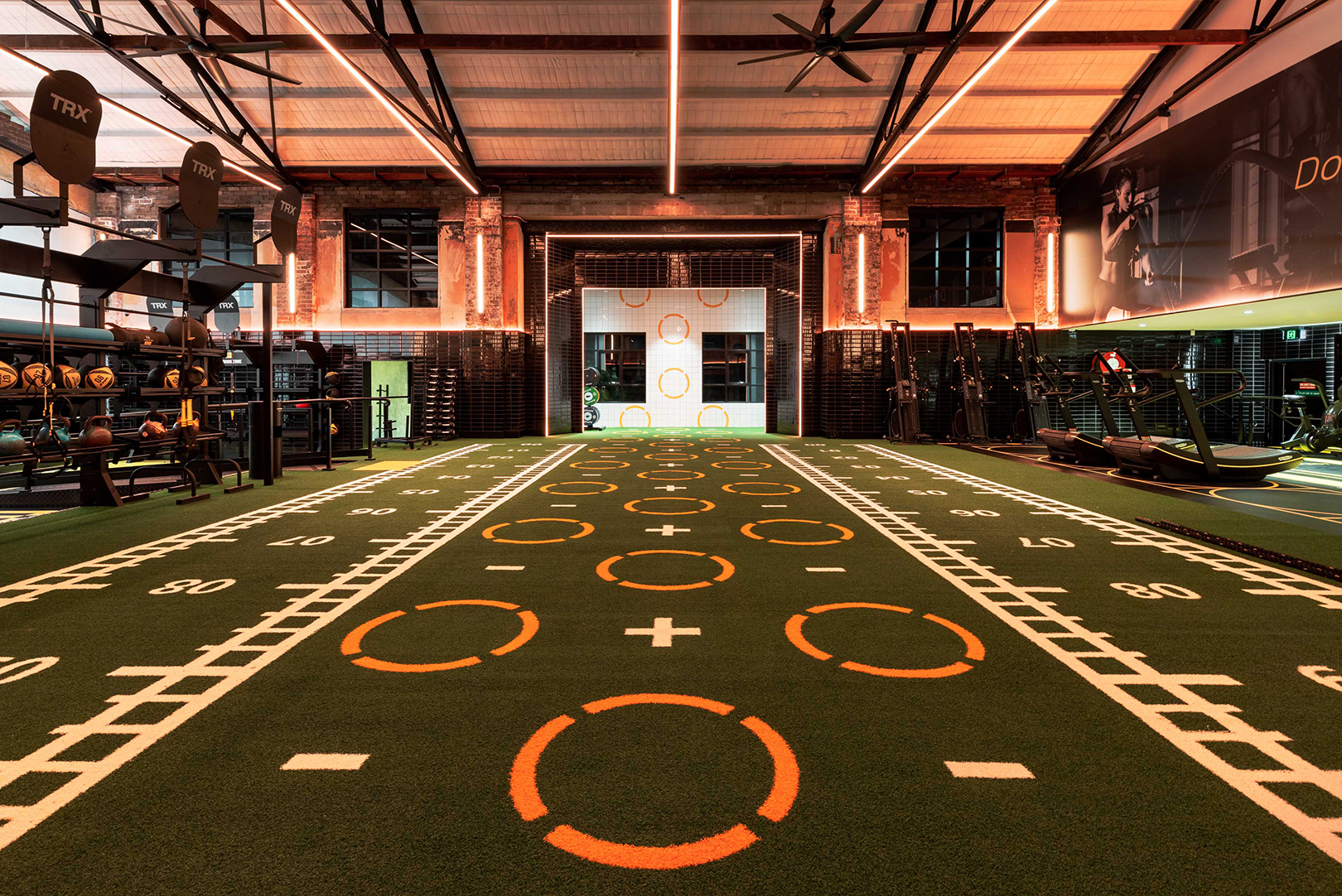 Coogee Diggers HIT – Black Sheep